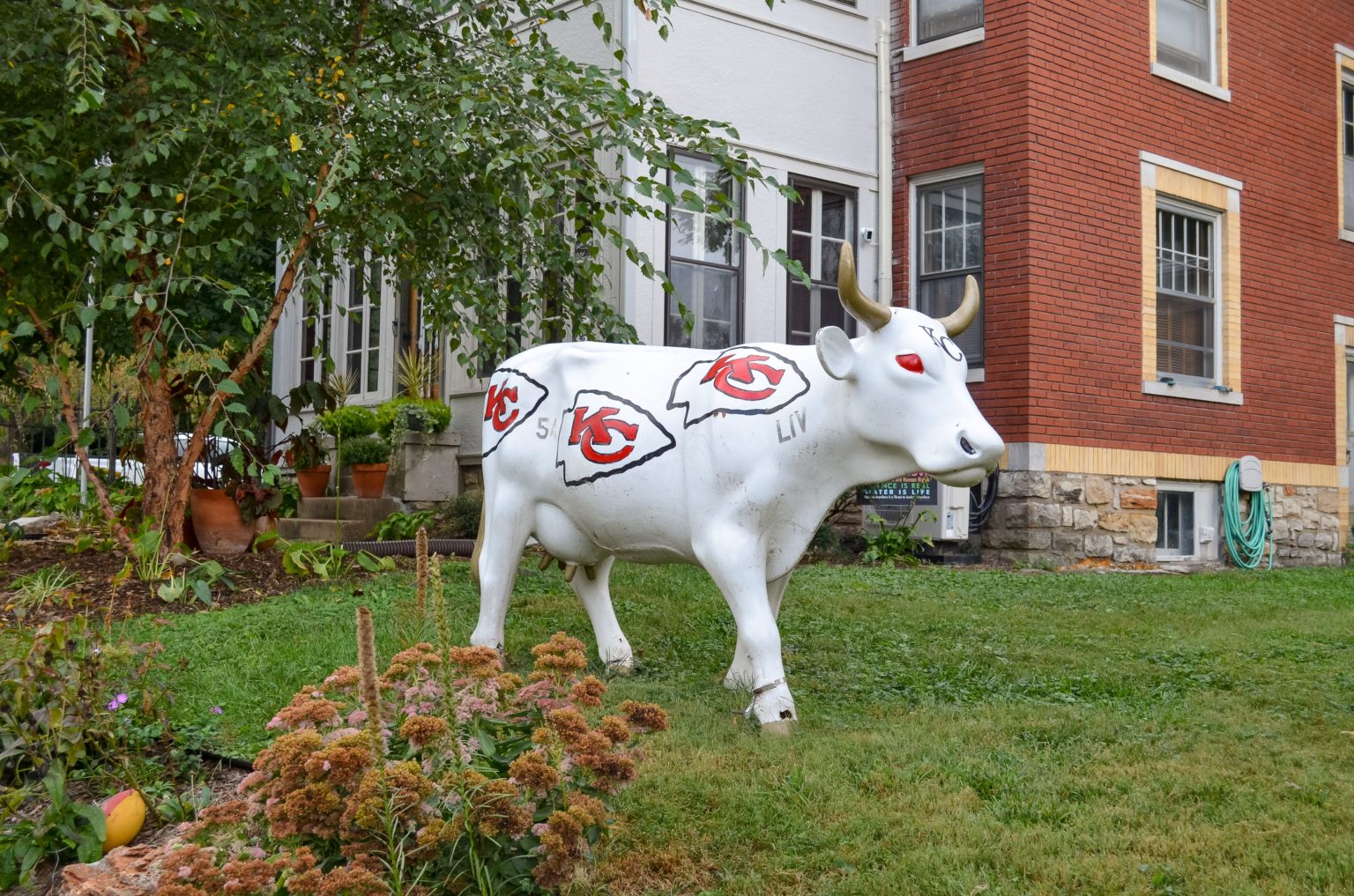 What happened to the hundreds of fiberglass cows that once roamed the city?