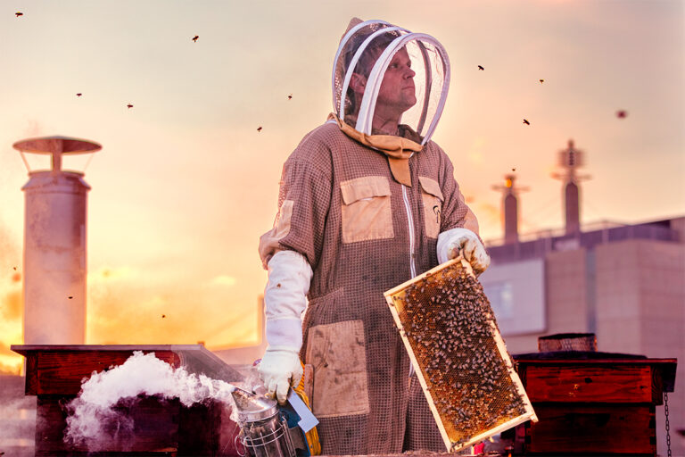 Bee hives are scattered throughout the urban core and metro via ...
