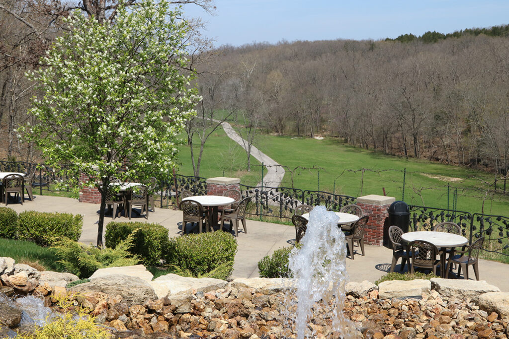 A Casual guide to Missouri Wine